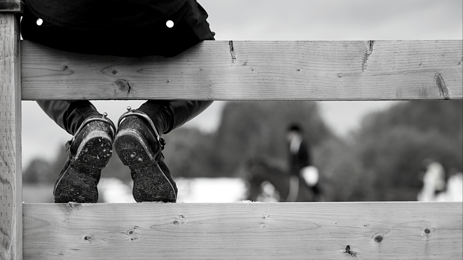 Elite Equestrian Coaching Academy courses - Elite Equestrian Coaching ...